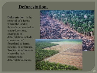 Pollution 2015 edition | PPT