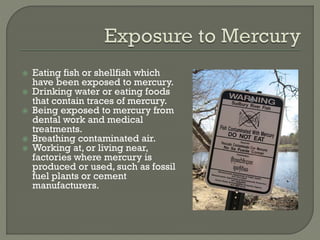 Pollution mercury and heavy metals | PPTX