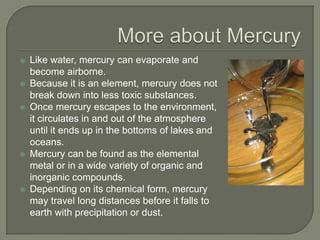 Mercury Facts Element