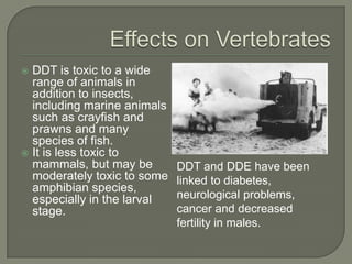 Endocrine Disruptors and DDT | PPTX