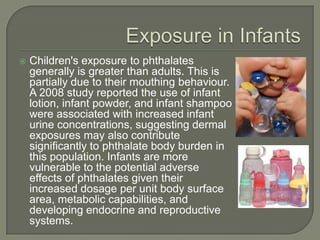 Endocrine Disruptors and DDT | PPTX