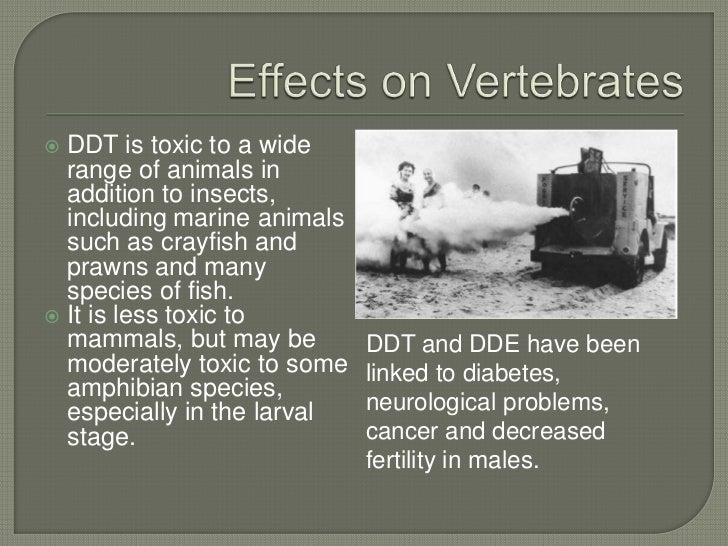 Endocrine Disruptors and DDT