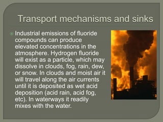 Fluoride as a pollutant | PPTX