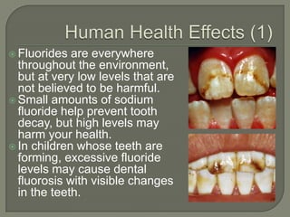 Fluorine Gas Exposure