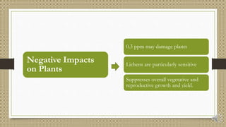 Pollution and air pollution | PPT