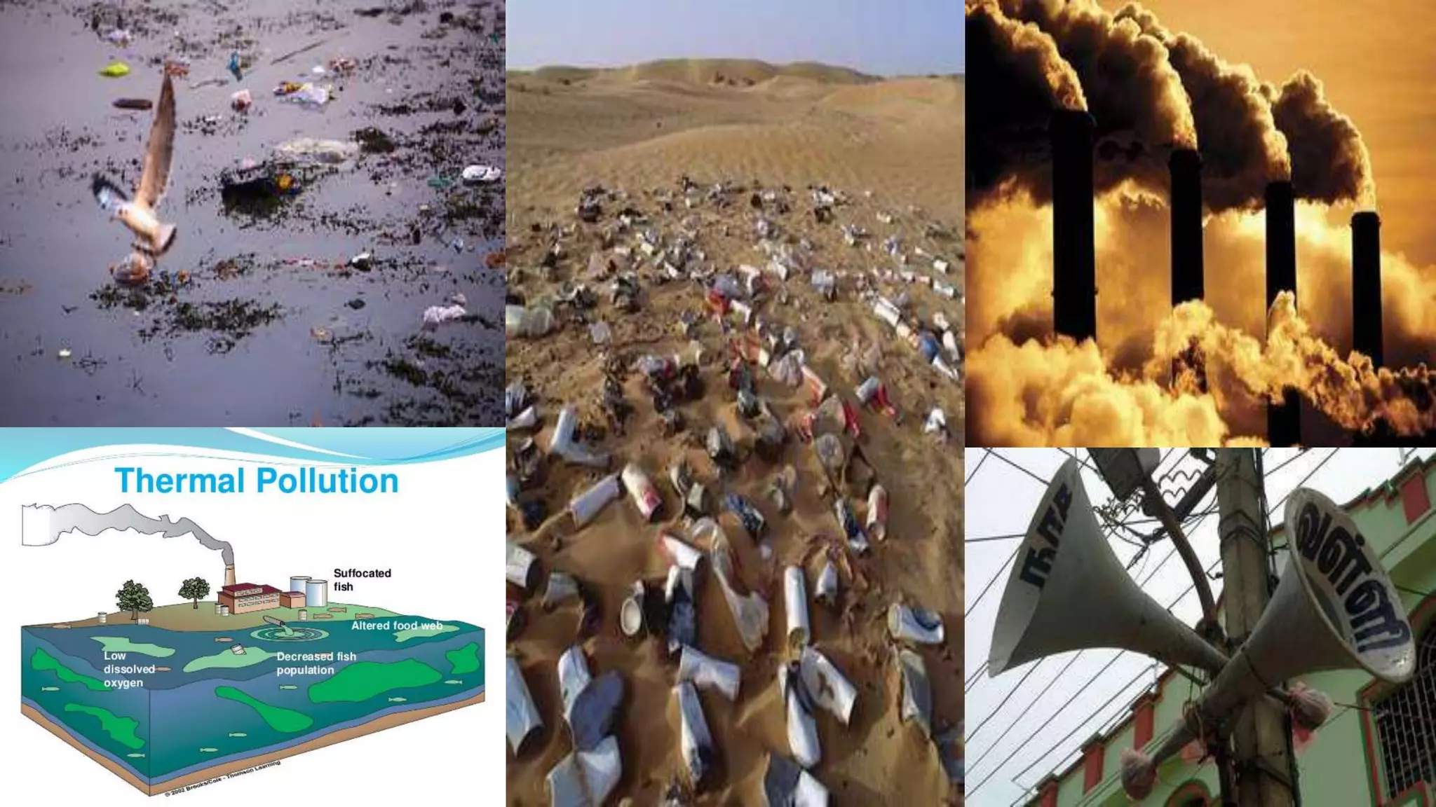Pollution, its types, causes, effects, history and control | PPTX