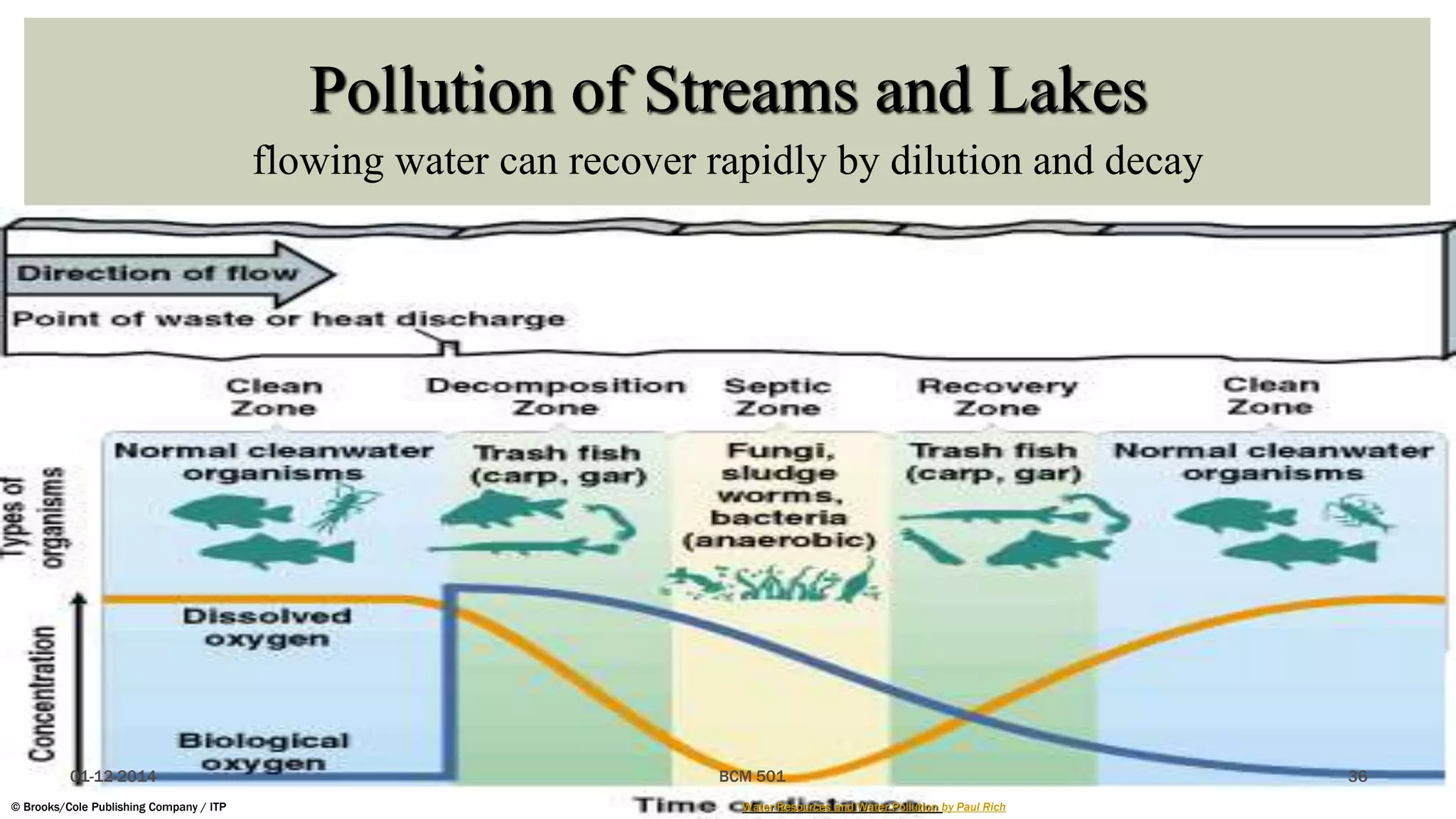 Pollution and human health | PPTX