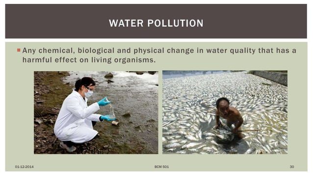 Pollution and human health | PPTX | Lung and Respiratory Health ...