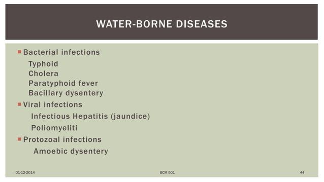Pollution and human health | PPTX | Lung and Respiratory Health ...