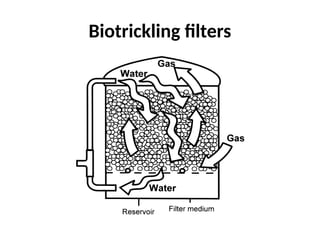 Pollution and its indicators /pollution indicator | PPTX