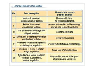 Pollution and its indicators /pollution indicator | PPT