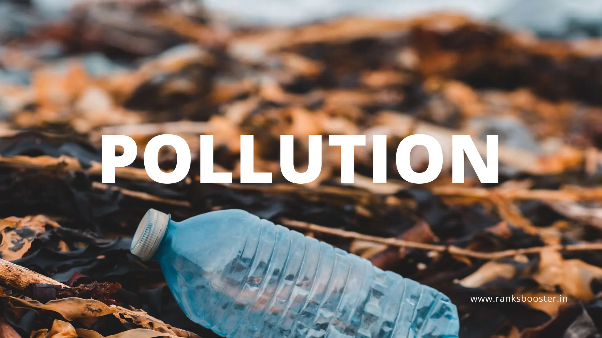 Pollution of water by ranksbooster.in.pptx