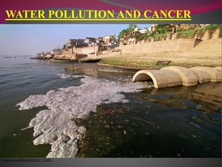 Pollution & cancer | PPTX