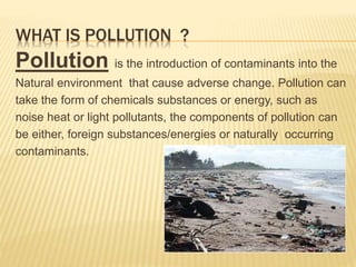 Pollution Presentation | PPTX