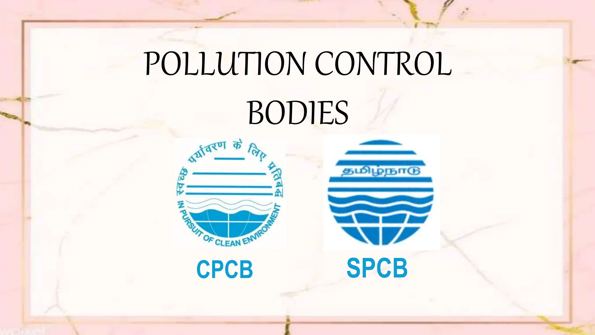Pollution control bodies ^0 environmental laws.pptx