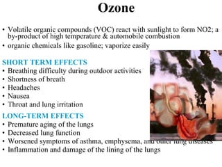 Pollution Effects On Health | PPT