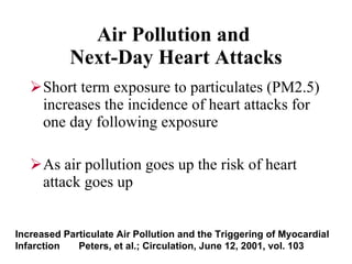 Pollution Effects On Health | PPT