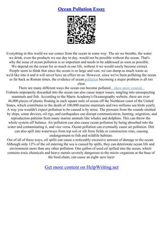 Pollution Essay | PDF