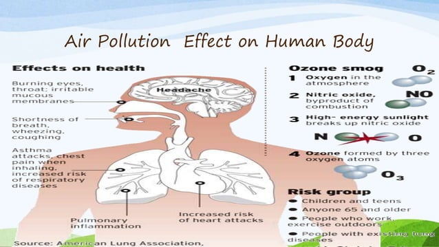 Pollution hazards and its mitigations | PPTX | Lung and Respiratory ...