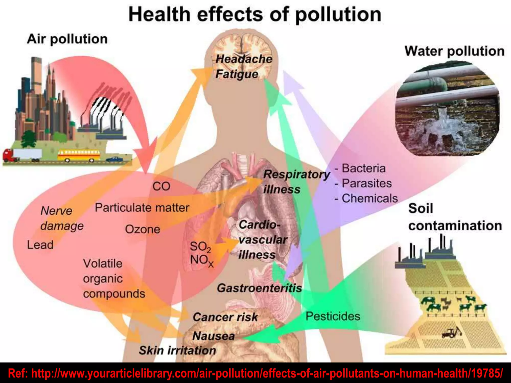 Pollution & human health : Guru | PPTX