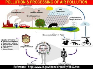 Pollution & human health : Guru | PPTX