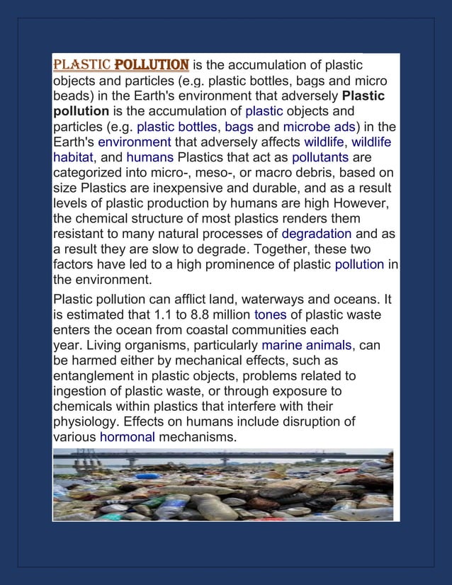 Pollution in india | PDF