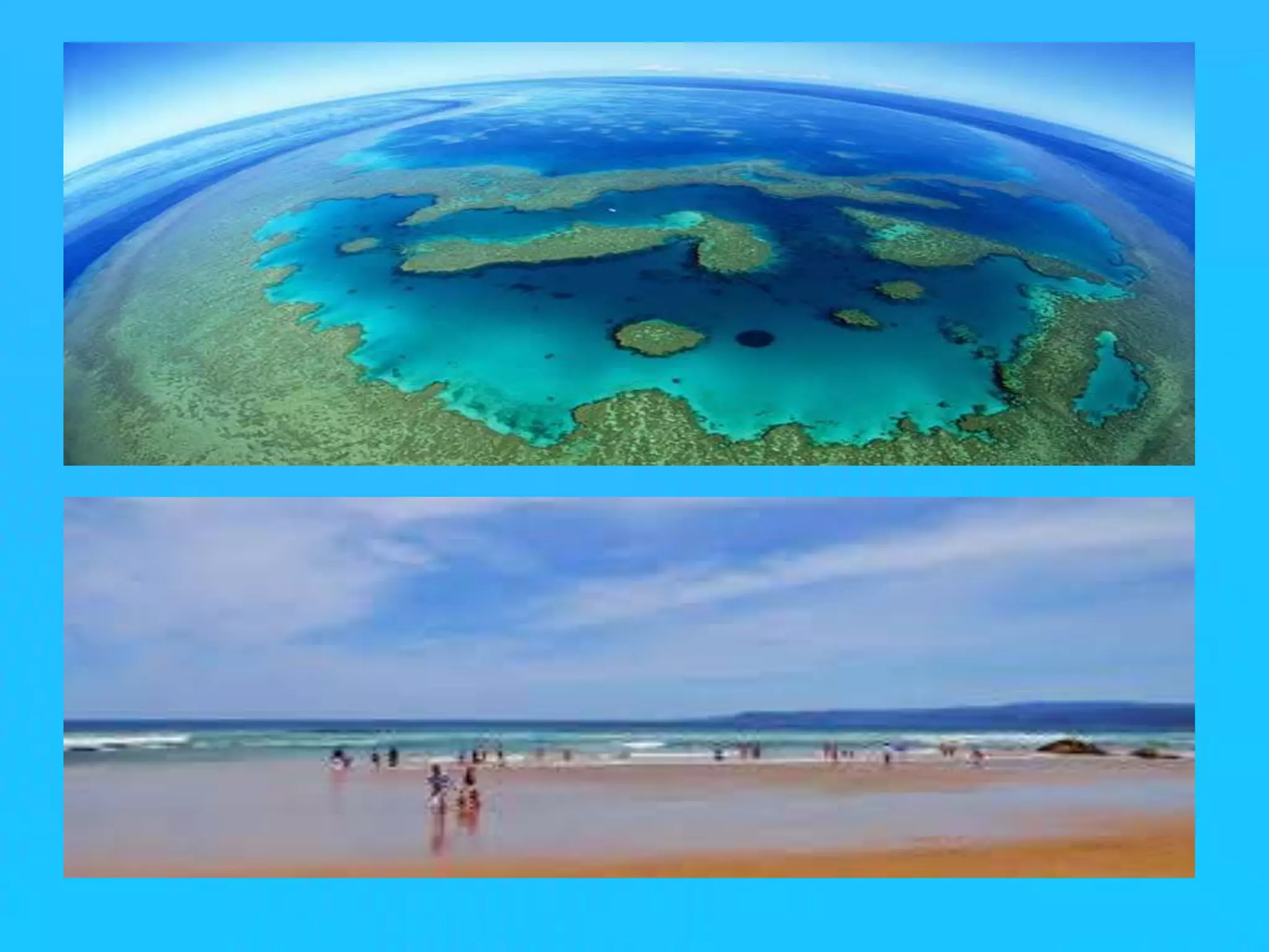 Pollution in the Great Barrier Reef | PPTX