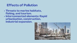 Pollution in the UAE (1).pdf