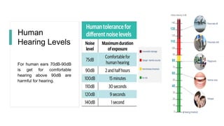 Noise Barrier for Sound Pollution | PPTX