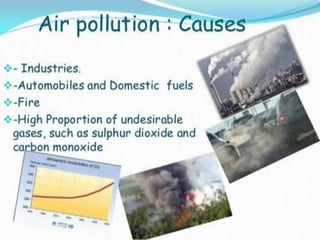 Pollution notes.pdf
