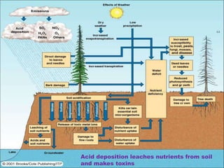 Pollution of Air and Water | PPT