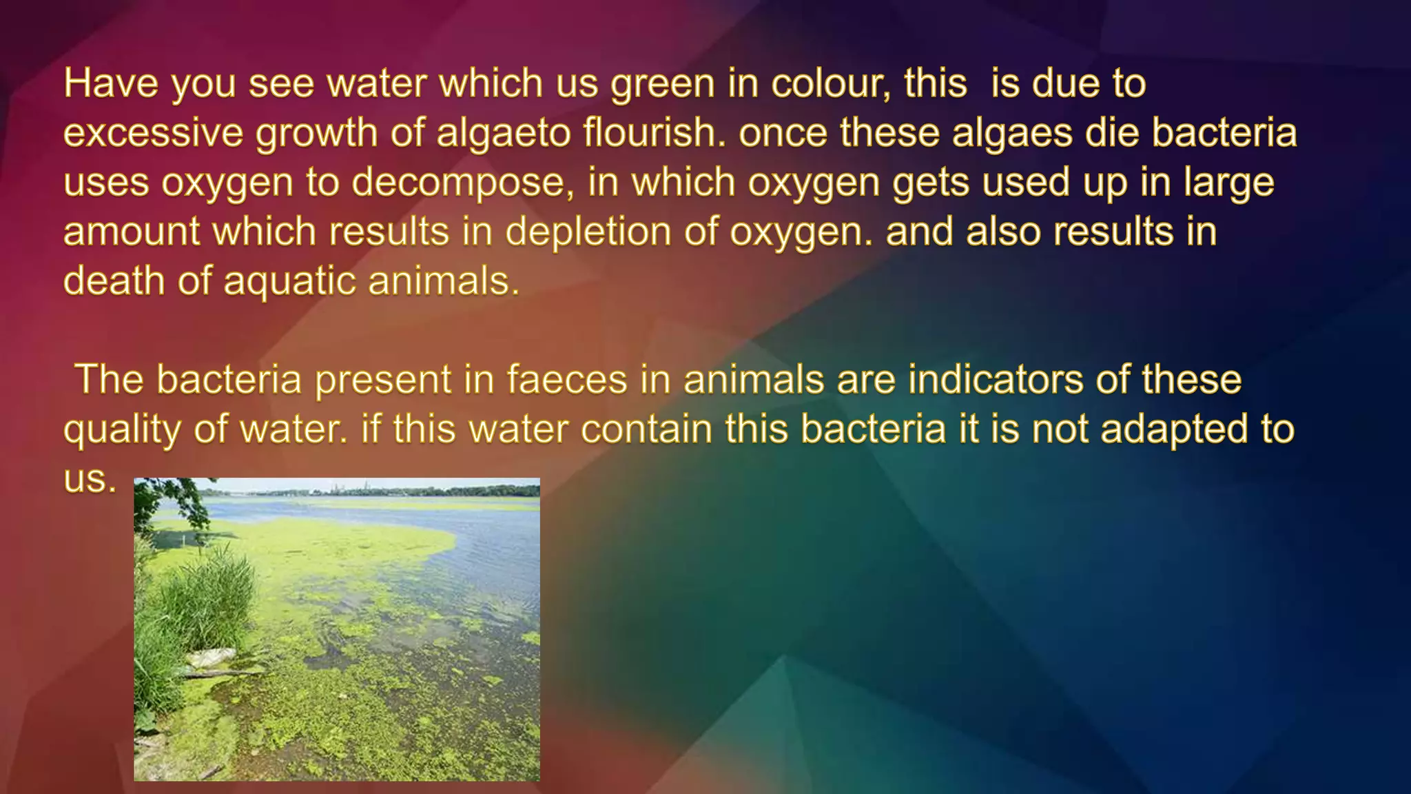 Pollution of air and water | PPT