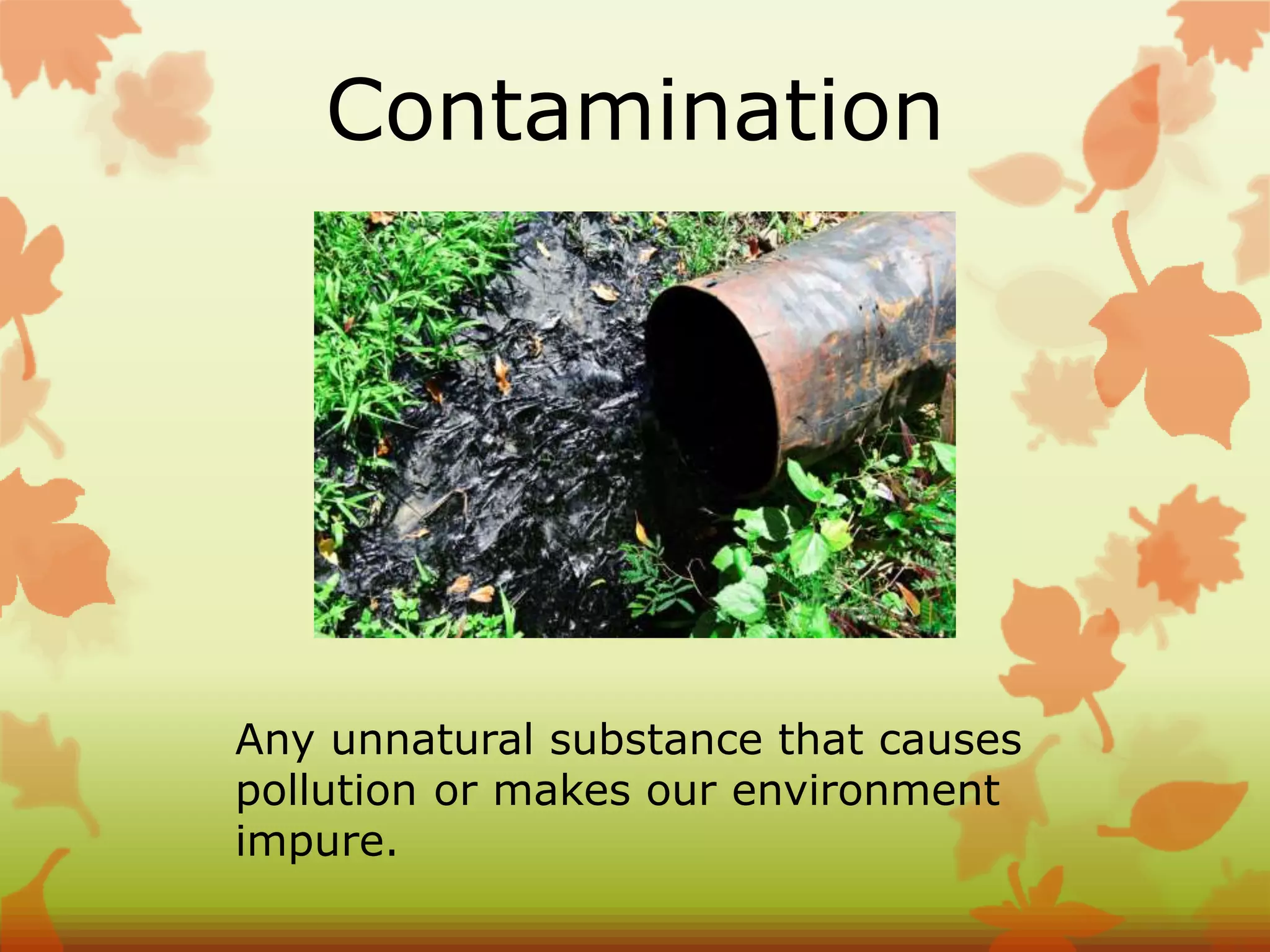 Pollution vocabulary | PPTX