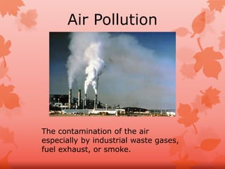 Pollution vocabulary | PPTX