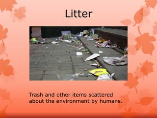 Pollution vocabulary | PPTX