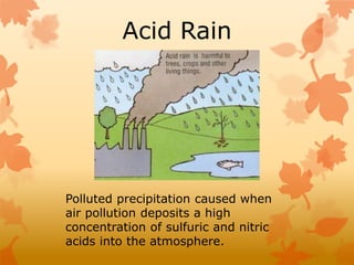 Pollution vocabulary | PPTX
