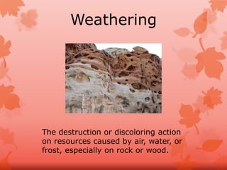 Pollution vocabulary | PPTX