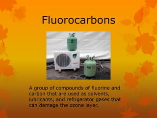 Pollution vocabulary | PPTX