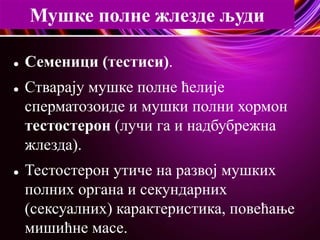 Polne zlezde.pptx