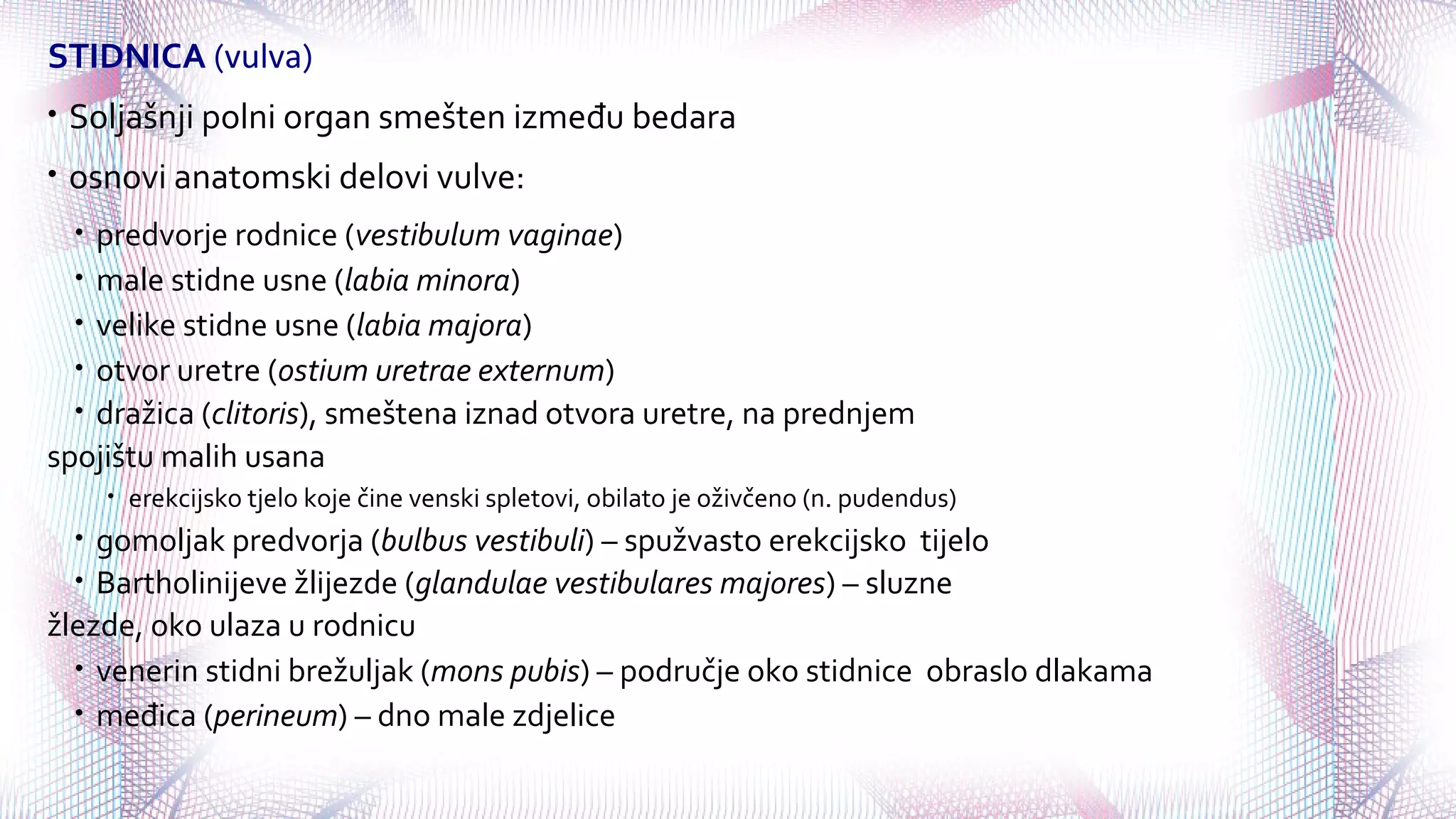 ANATOMIJA Polni organi | PPT
