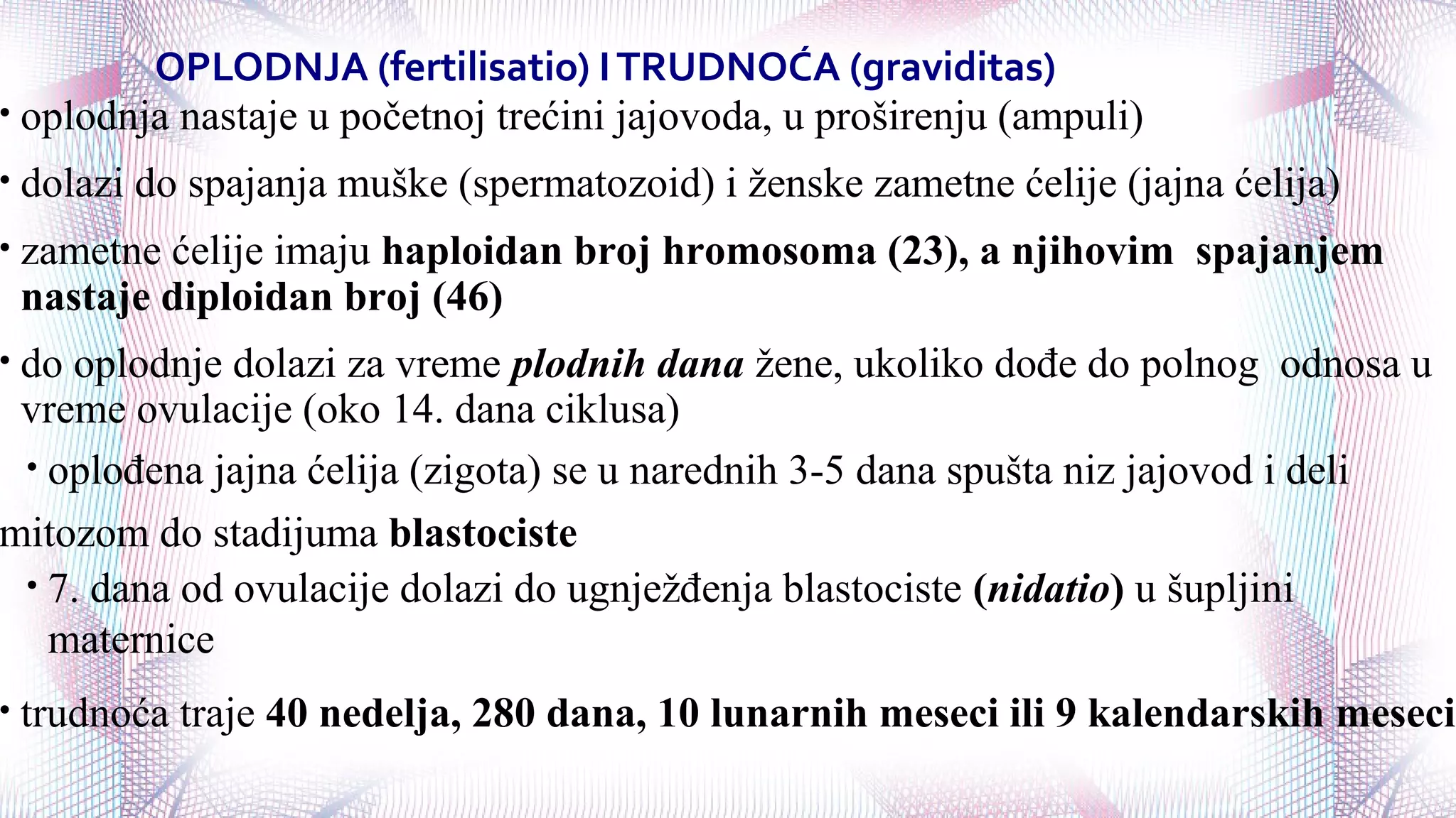 ANATOMIJA Polni organi | PPT