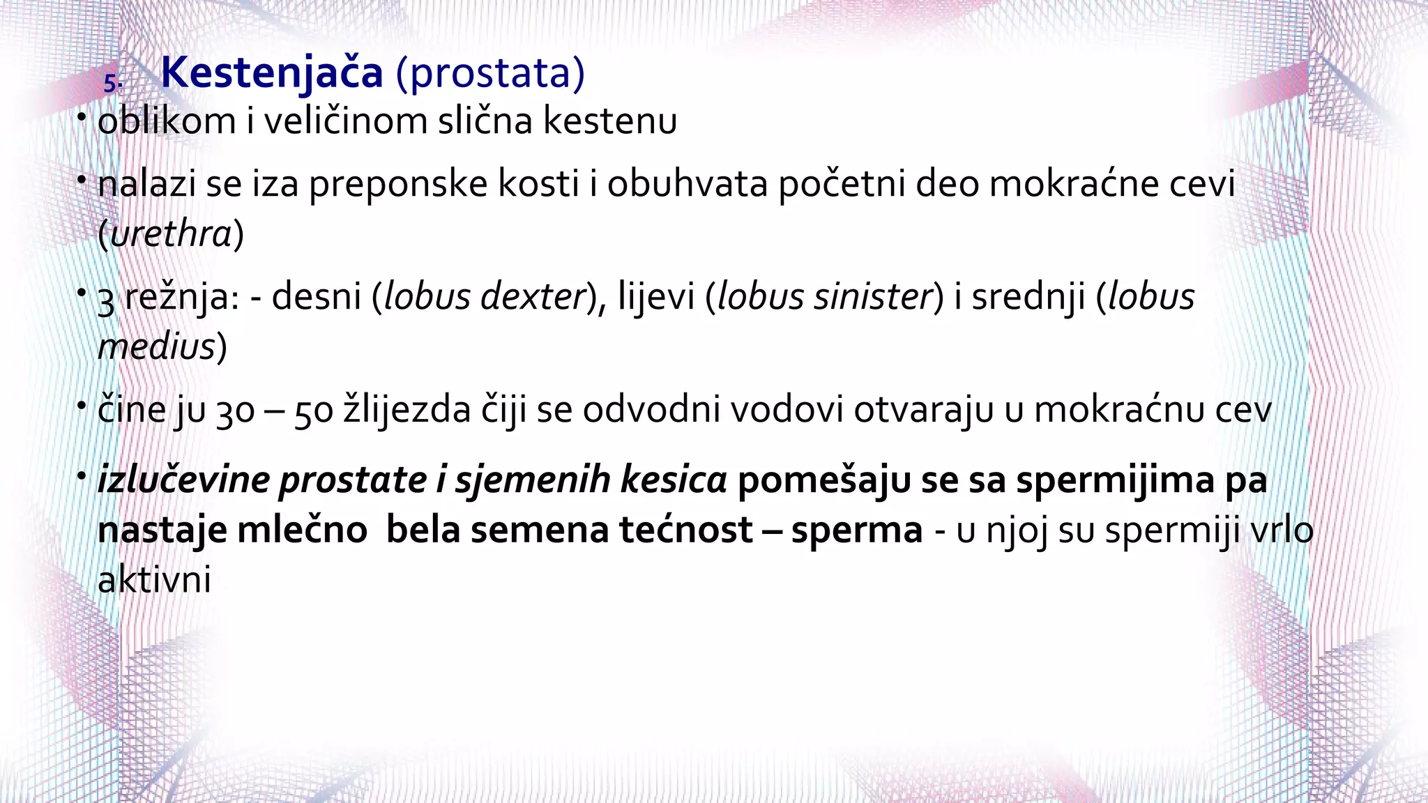 ANATOMIJA Polni organi | PPT