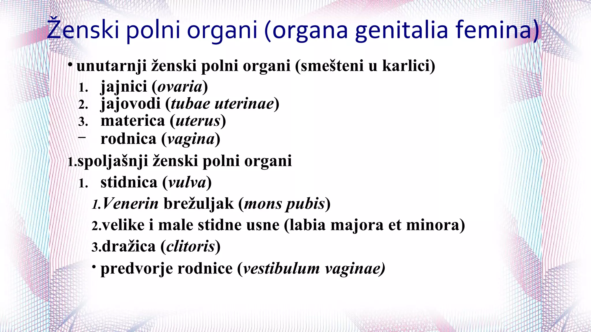 ANATOMIJA Polni organi | PPT