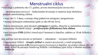 ANATOMIJA Polni organi | PPT
