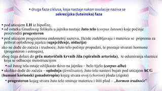 ANATOMIJA Polni organi | PPT