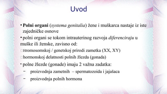 ANATOMIJA Polni organi | PPT