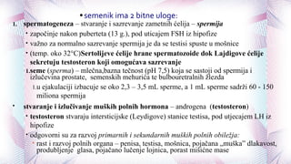 ANATOMIJA Polni organi | PPT