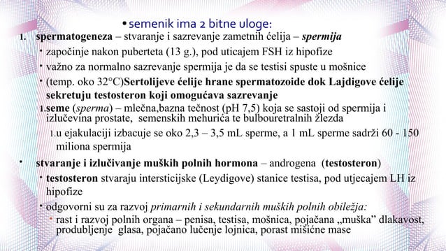 ANATOMIJA Polni organi | PPT