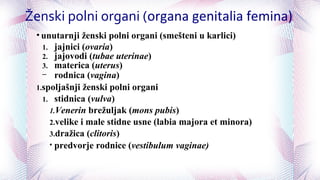 ANATOMIJA Polni organi | PPT