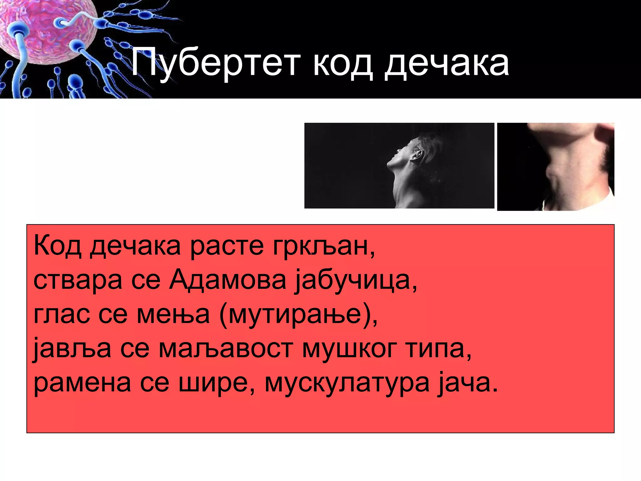 Polni sistem | PPT